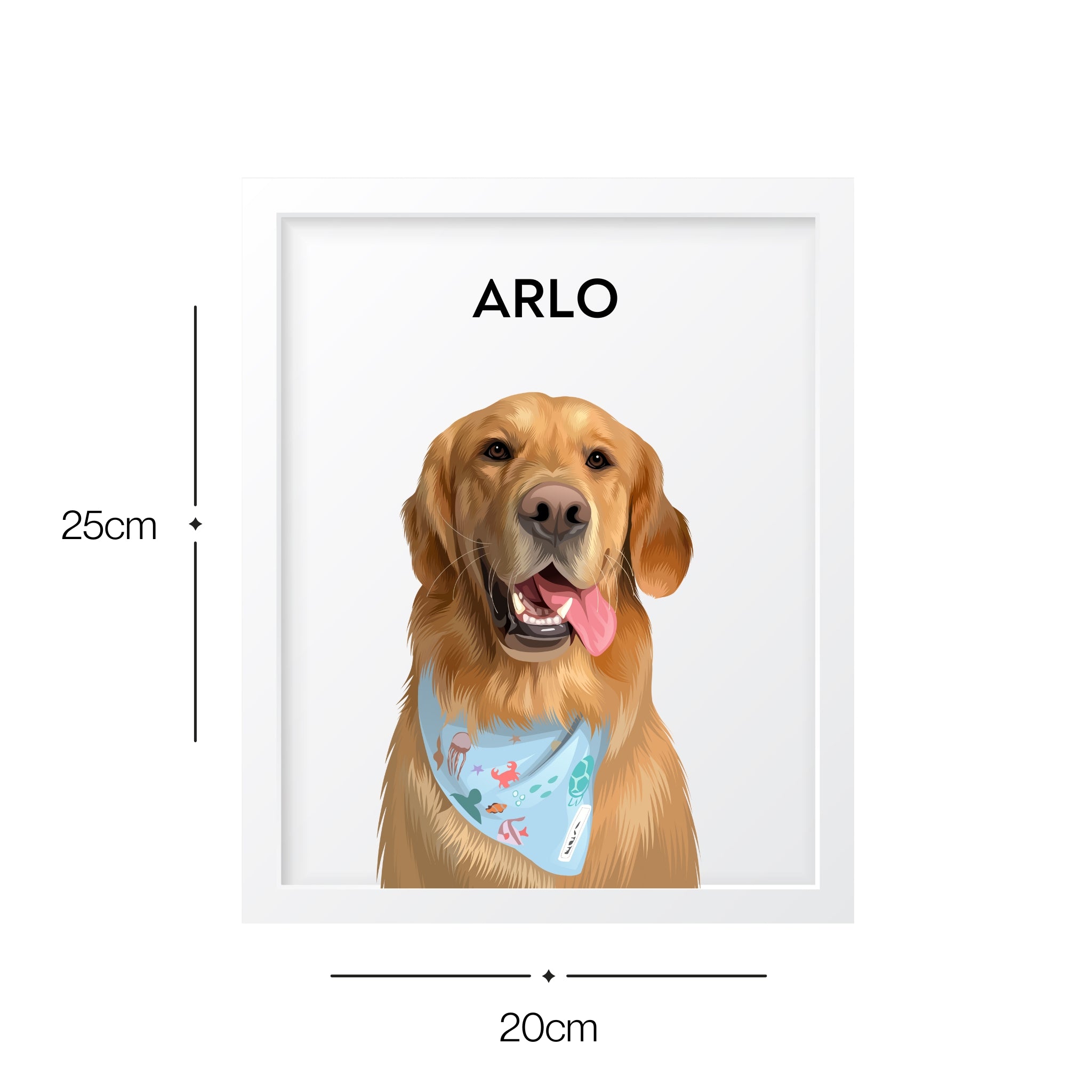 Bark & Brush Pet Portraits | Modern Pet Portraits Australia