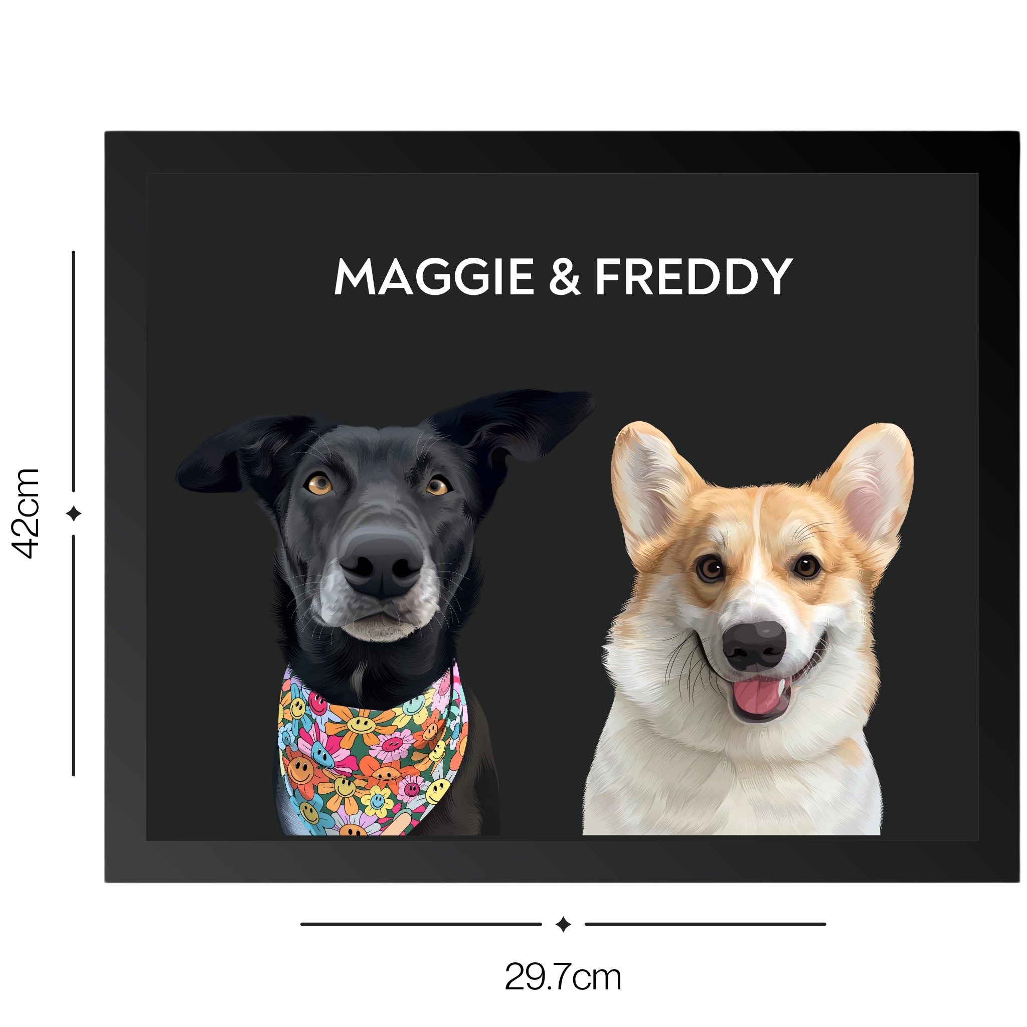 Bark & Brush Pet Portraits | Modern Pet Portraits Australia