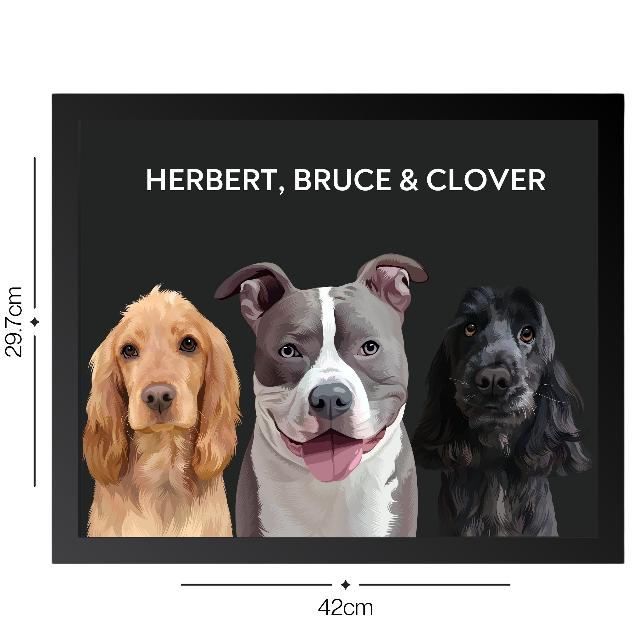 Bark & Brush Pet Portraits | Modern Pet Portraits Australia