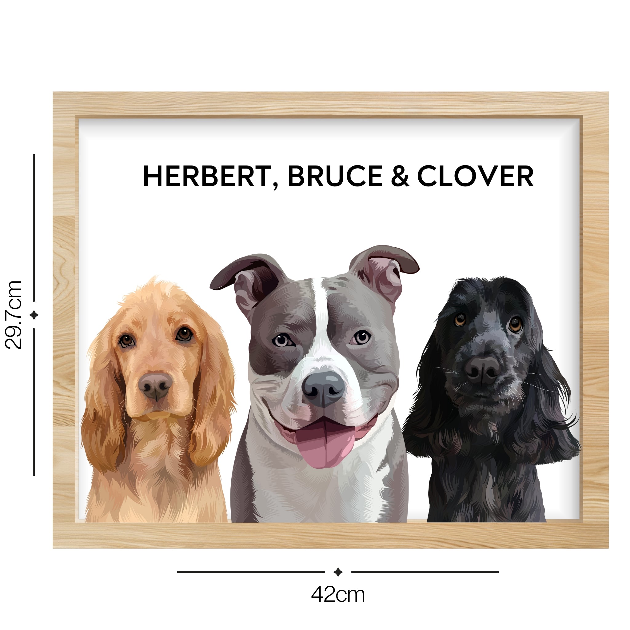 Bark & Brush Pet Portraits | Modern Pet Portraits Australia