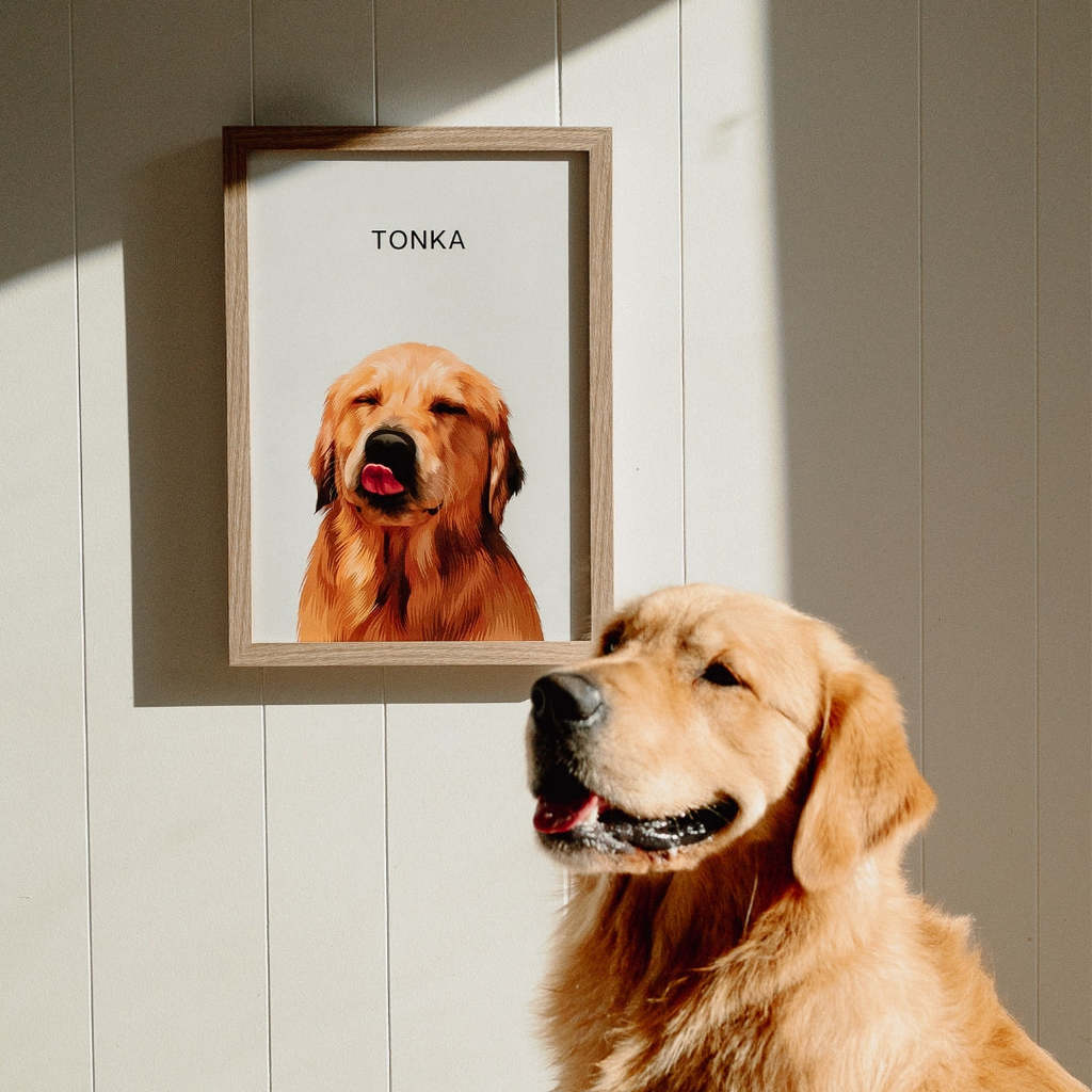 Bark & Brush Pet Portraits | Modern Pet Portraits Australia